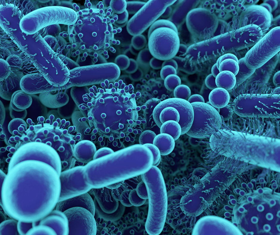 Mikrobiom – centrum zdraví a nálady - Dialiga